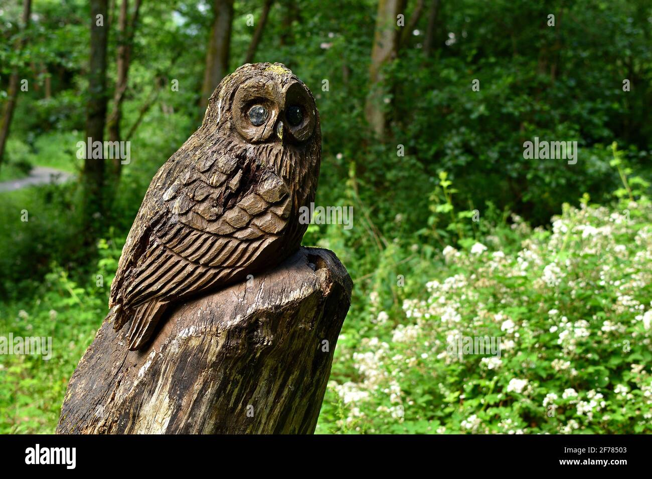 Gruffalo owl hi-res stock photography and images - Alamy
