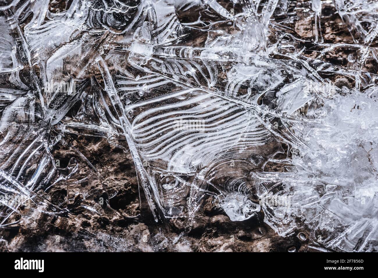 The texture of the thin ice on the water surface Stock Photo - Alamy