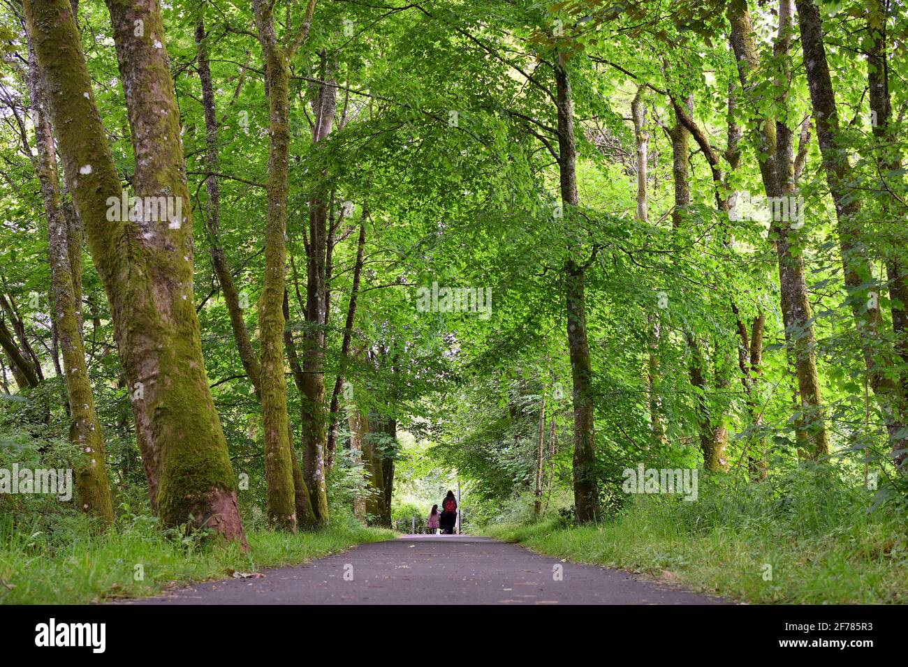 Walk in Callander Stock Photo - Alamy