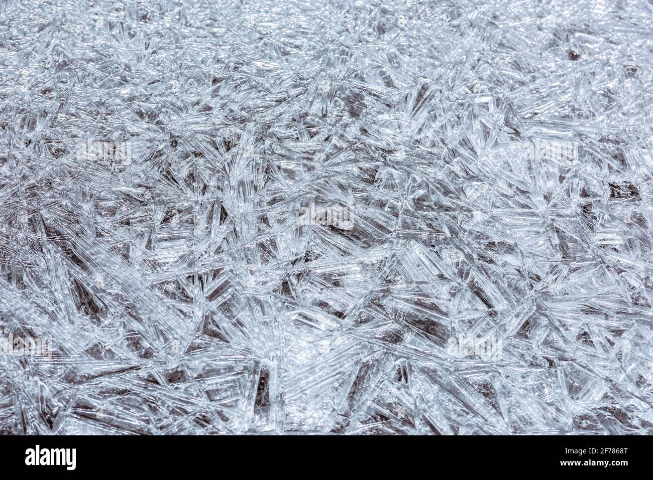 The texture of the thin ice on the water surface Stock Photo - Alamy