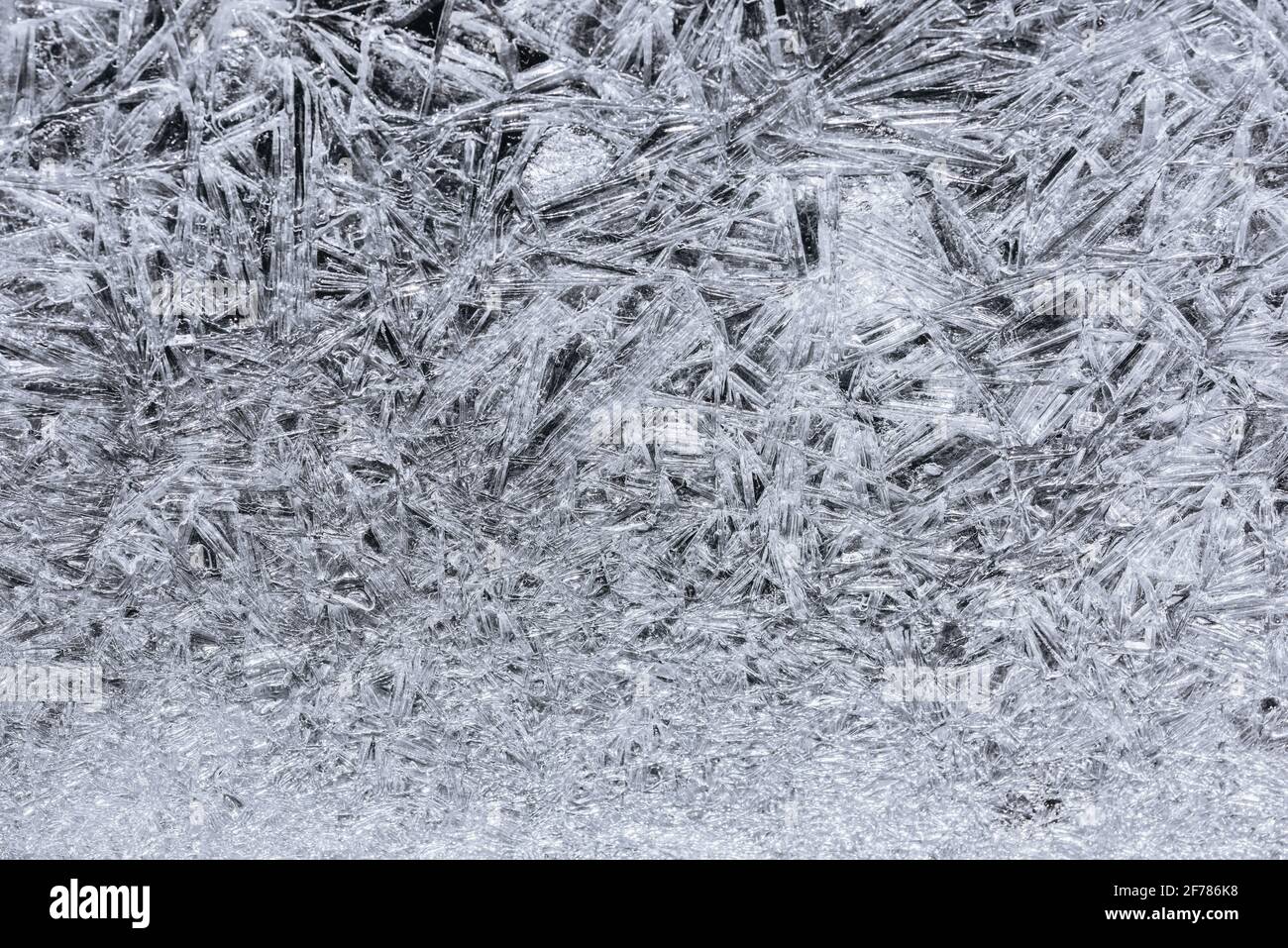 The texture of the thin ice on the water surface Stock Photo - Alamy