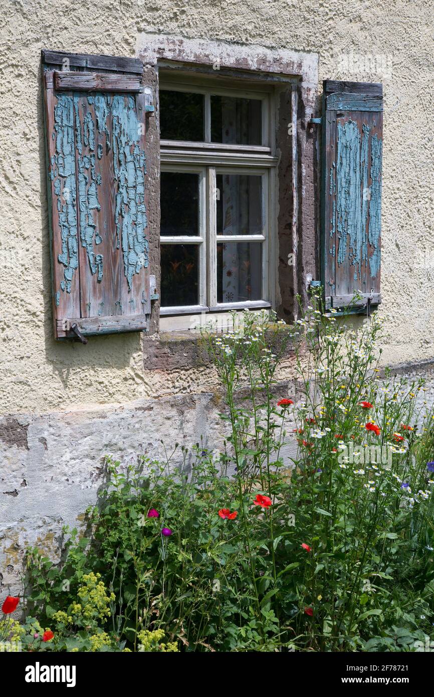 Old weathered window with wooden shutters with a flower garden Stock ...