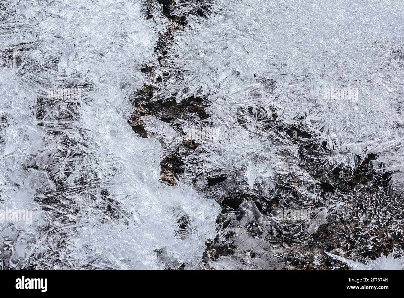The texture of the thin ice on the water surface Stock Photo - Alamy