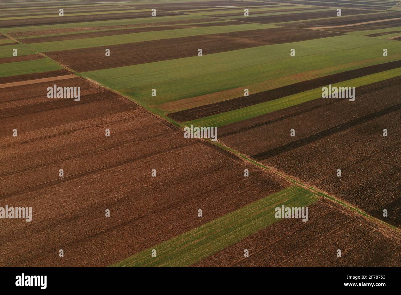 Aerial view of cultivated fields in springtime from drone pov, ploughed ...