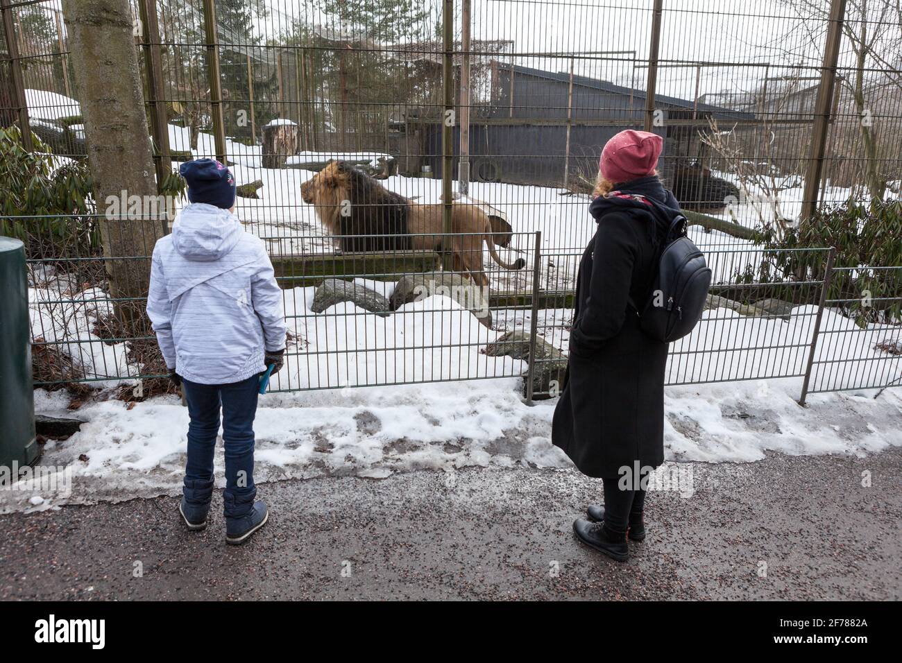 Korkeasaari zoo in helsinki hi-res stock photography and images - Alamy