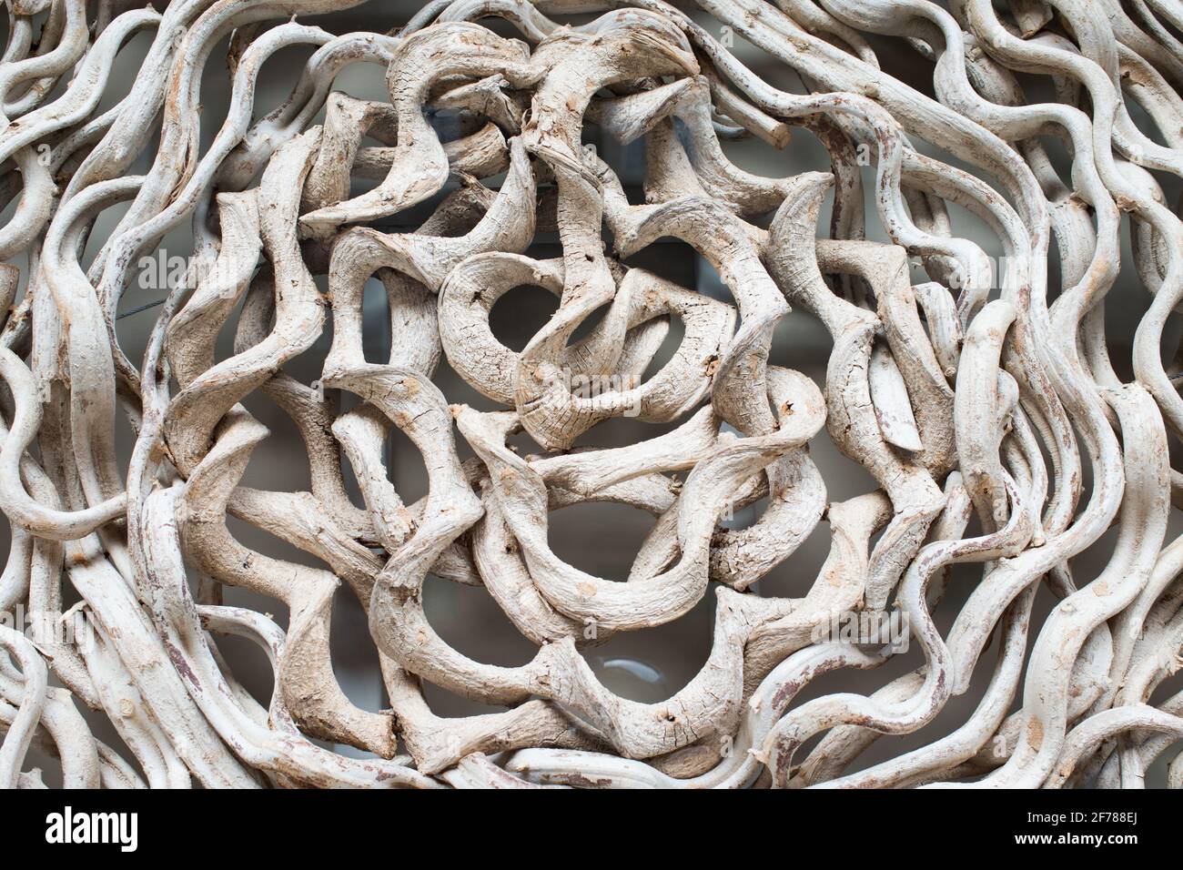 Beautiful pattern with natural wood. Design and art Stock Photo - Alamy