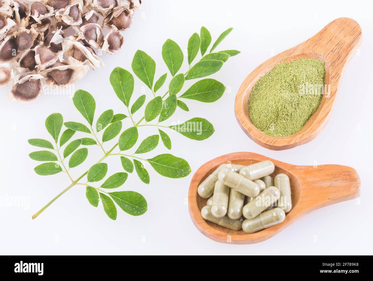 Moringa leaves, seeds, powder and capsules - Moringa oleifera Stock ...
