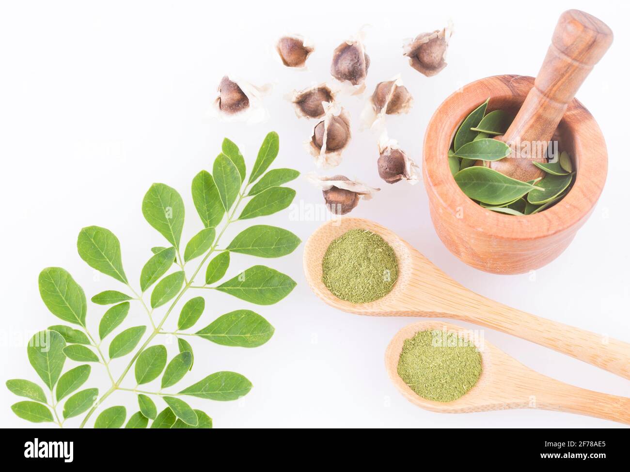 Seeds, leaves and seeds of moringa - Moringa oleifera Stock Photo - Alamy