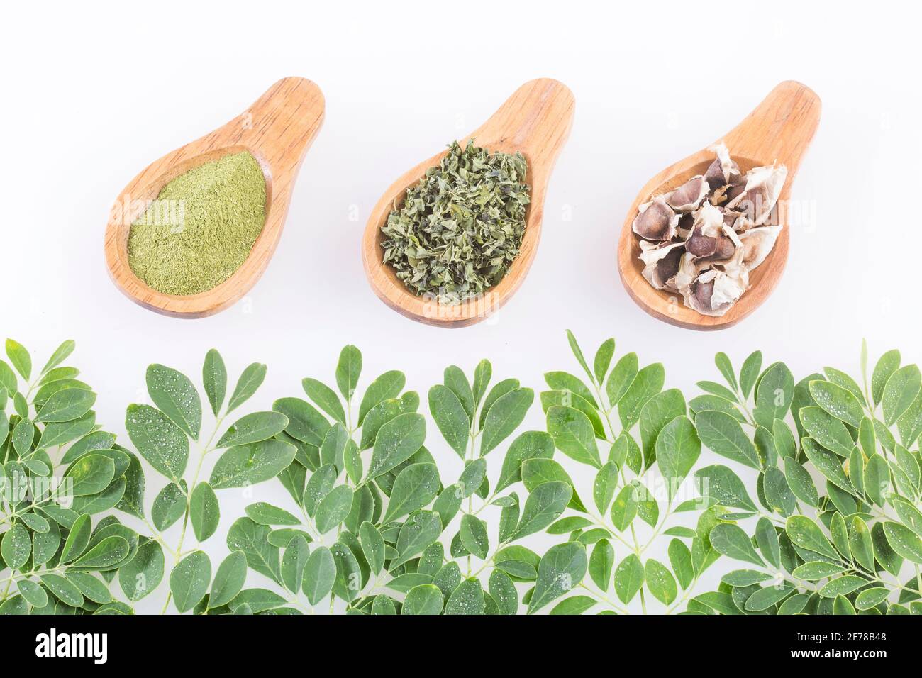 Seeds leaves moringa oleifera hi-res stock photography and images - Alamy