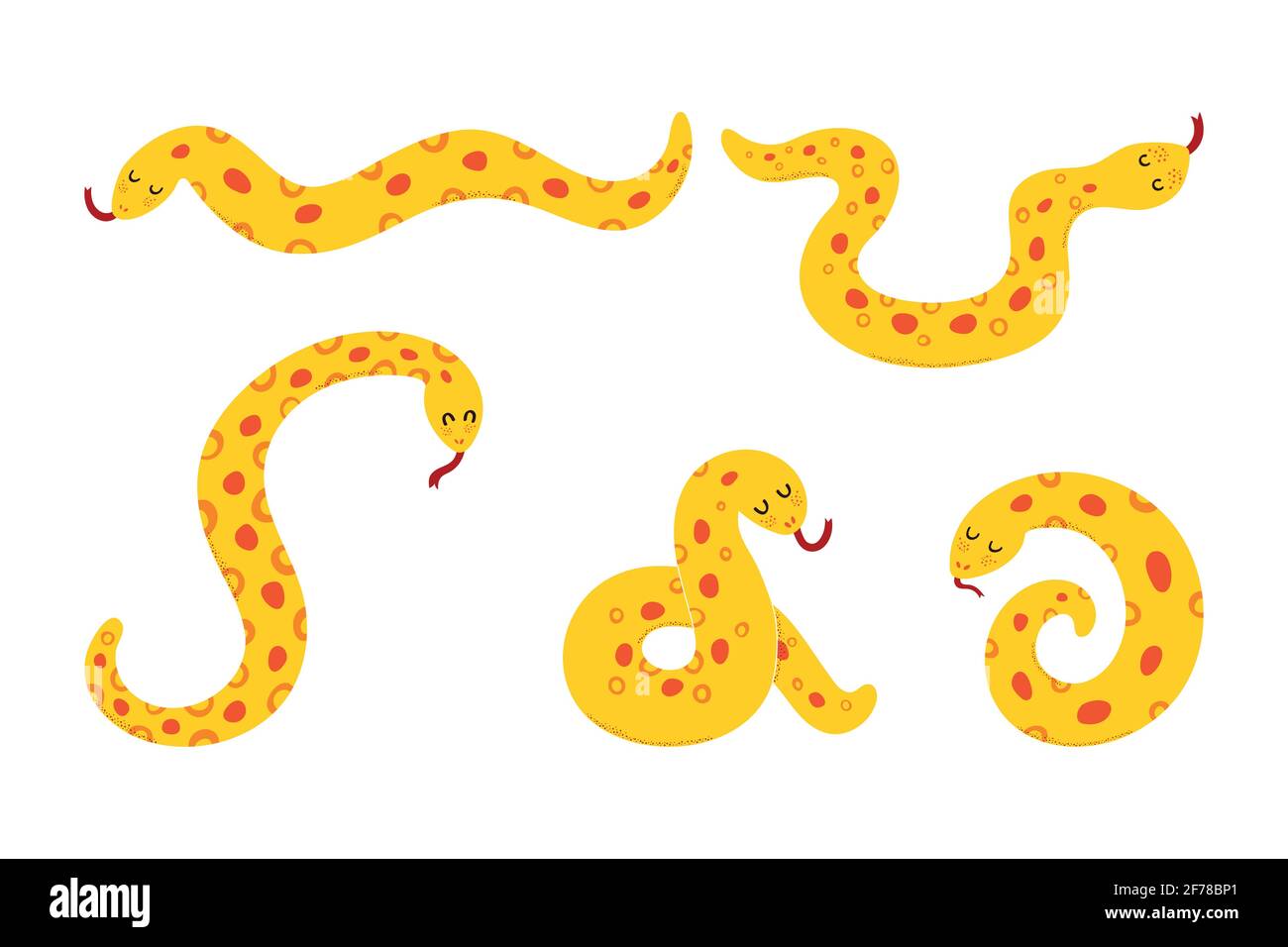 Vector illustration of anaconda. Tropical snake isolated on white ...