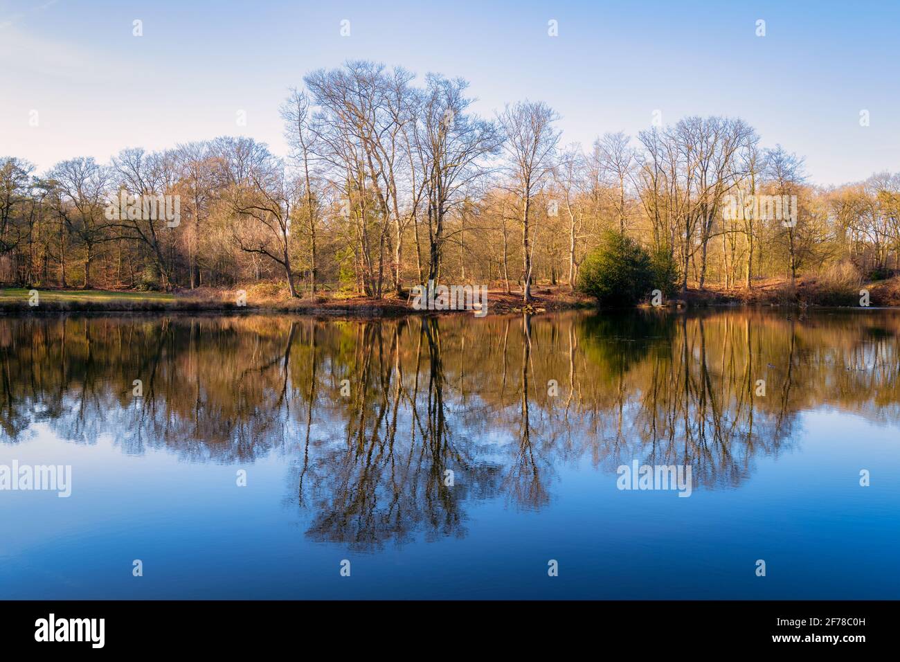 Large pond at the natural reserve Springendal, an erosion valley in the ...