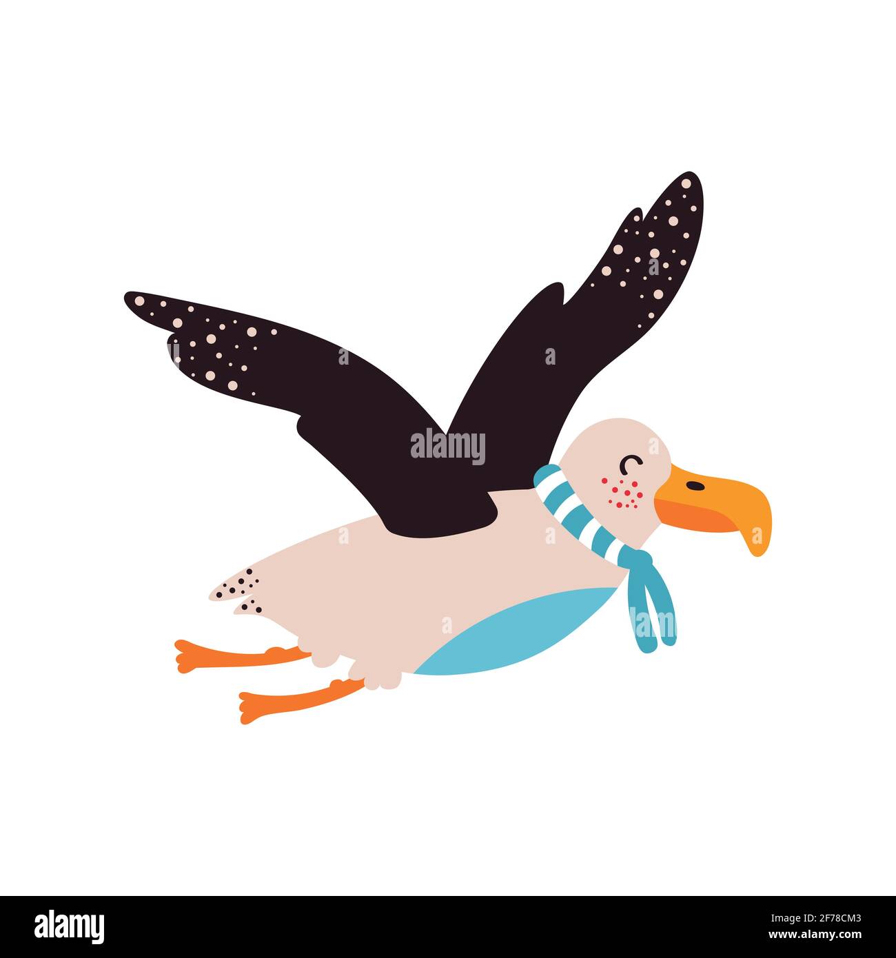 Albatross bird. Colorful vector illustration on white isolated ...