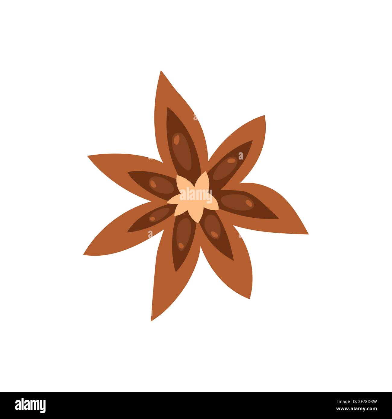 Anise. Vector illustration on white isolated background Stock Vector ...