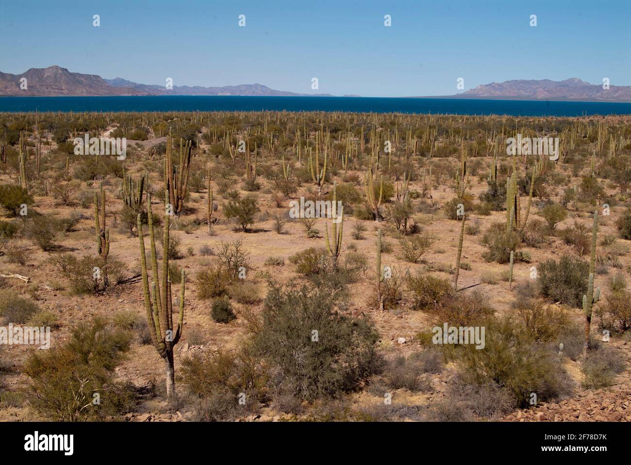 Bahia de concepcion hi-res stock photography and images - Alamy