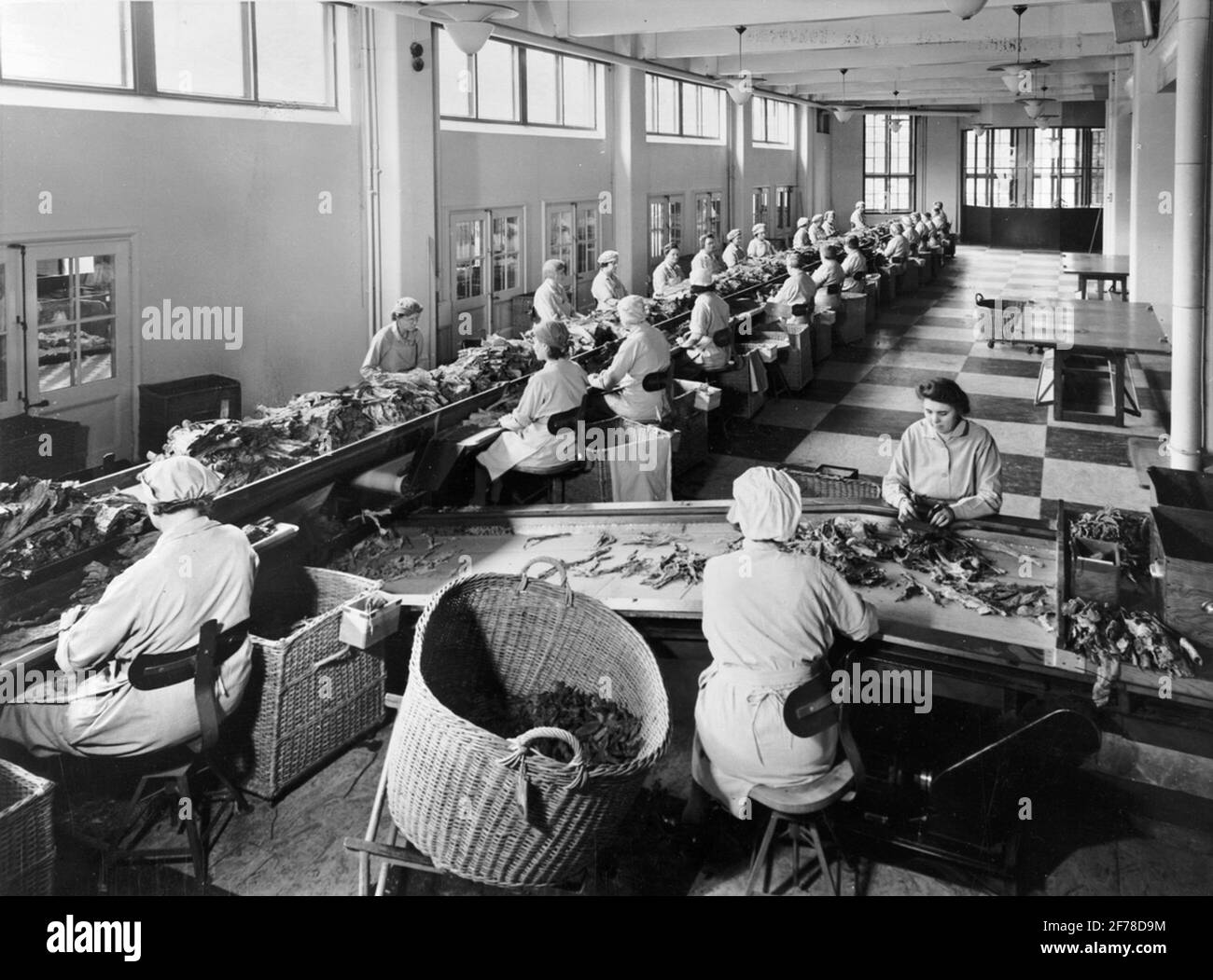 Cigarette manufacturing hi-res stock photography and images - Alamy