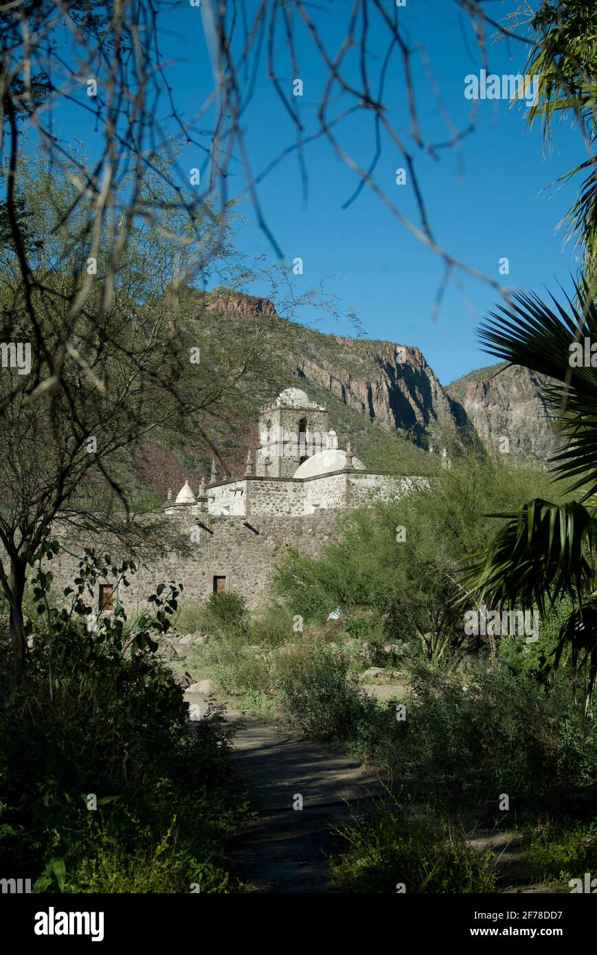San Ignacio church mission, Baja California Stock Photo - Alamy