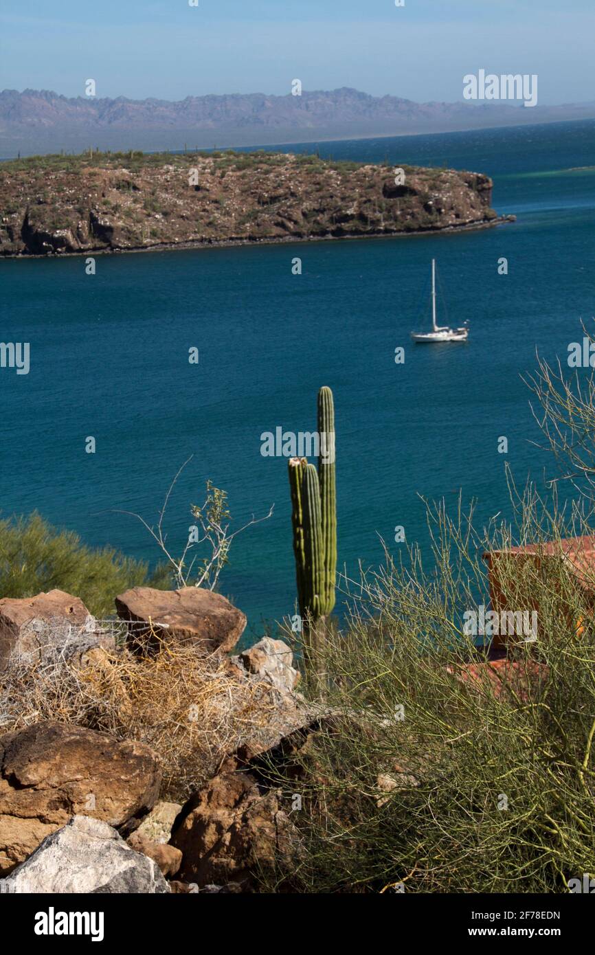 Desert and sea landscape Stock Photo - Alamy