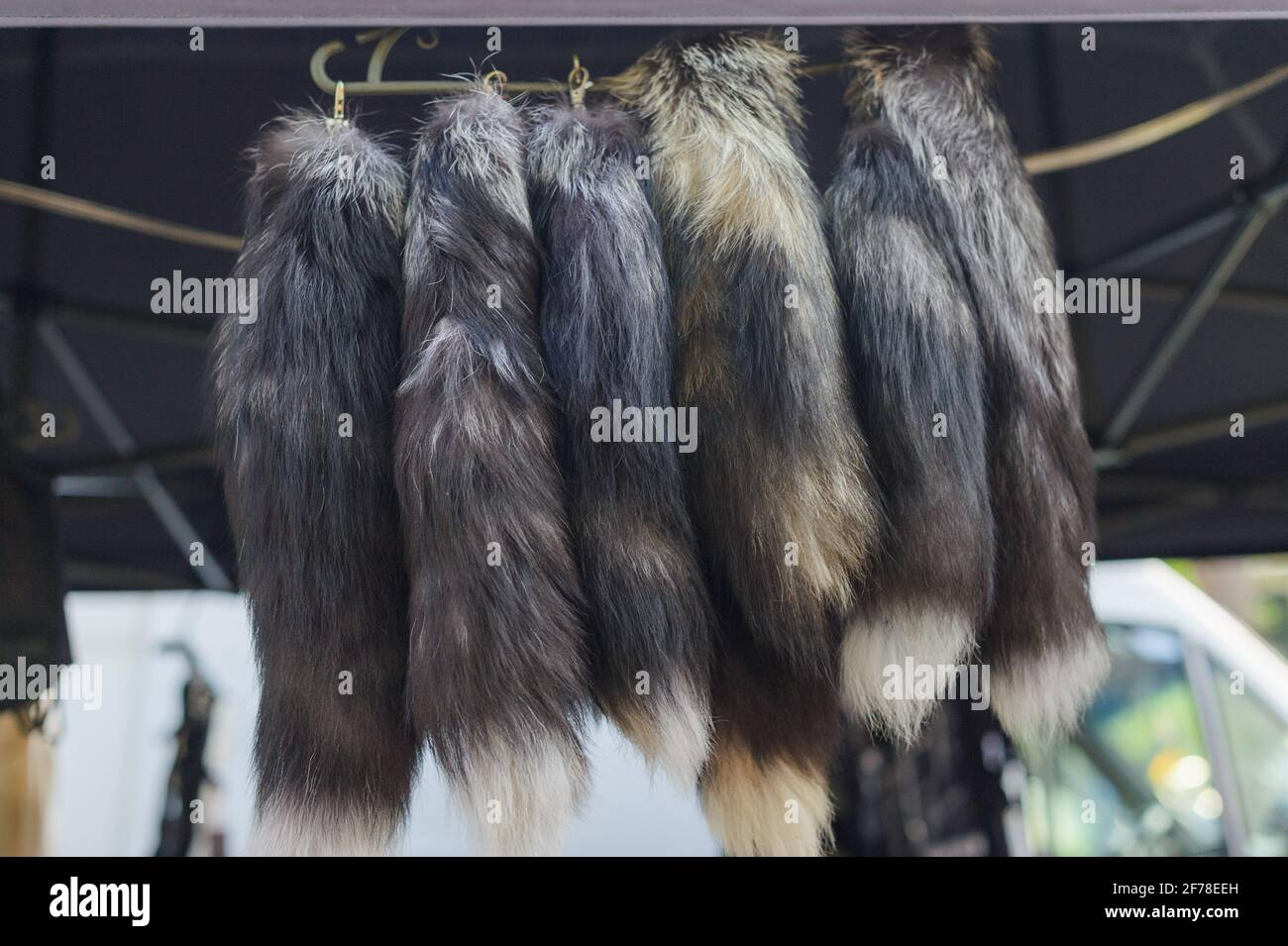a lot of fox tails hanging in a street market. Raccoon or silver fox ...