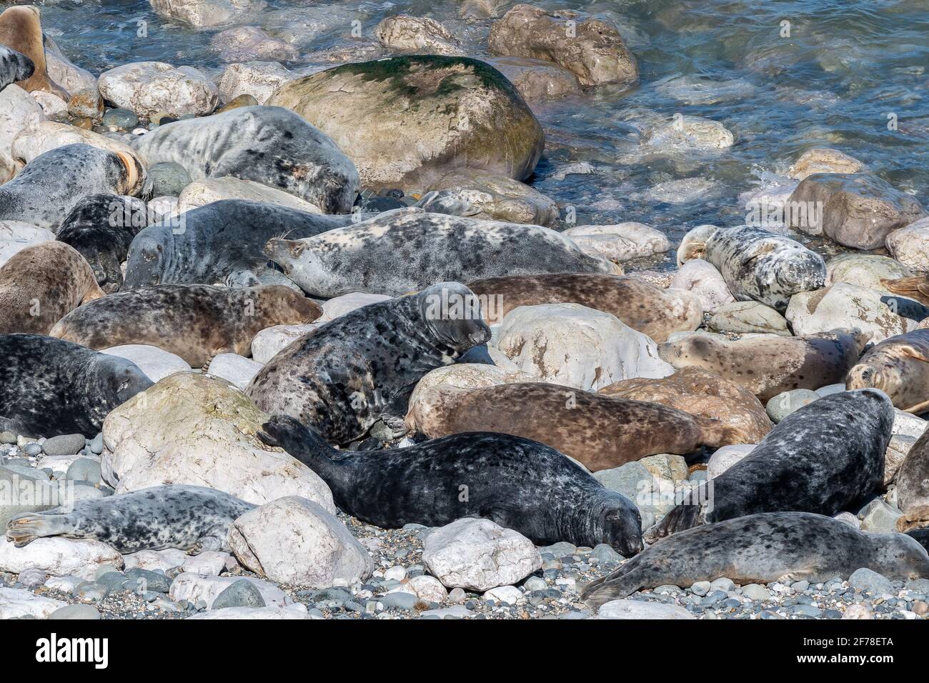 Angel bay, north wales hi-res stock photography and images - Alamy