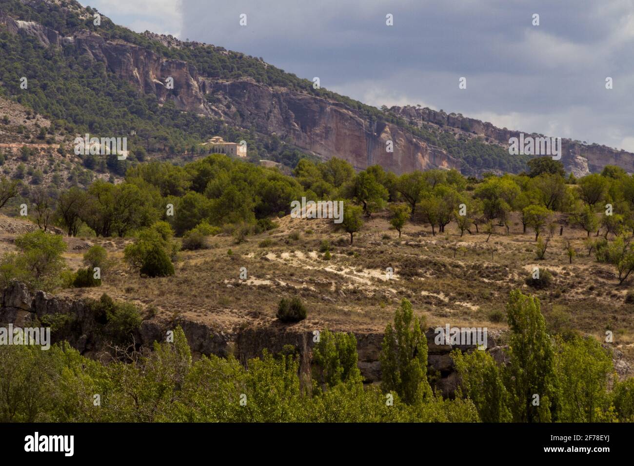 Wide-shot of a mountain range coverd by pines with a monastery in the ...