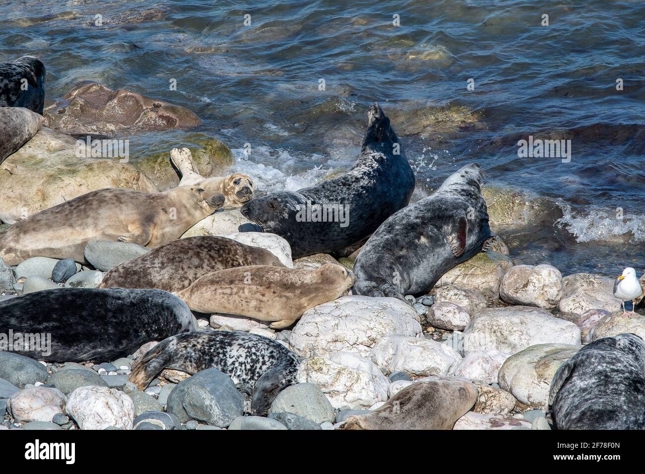 Angel bay, north wales hi-res stock photography and images - Alamy