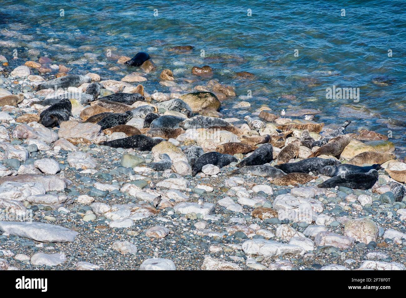 Angel bay, north wales hi-res stock photography and images - Alamy