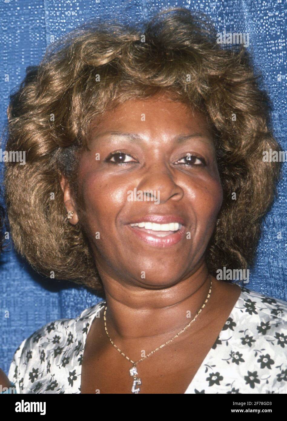 Cissy Houston 1990 Photo by Adam Scull-PHOTOlink.net / MediaPunch Stock ...