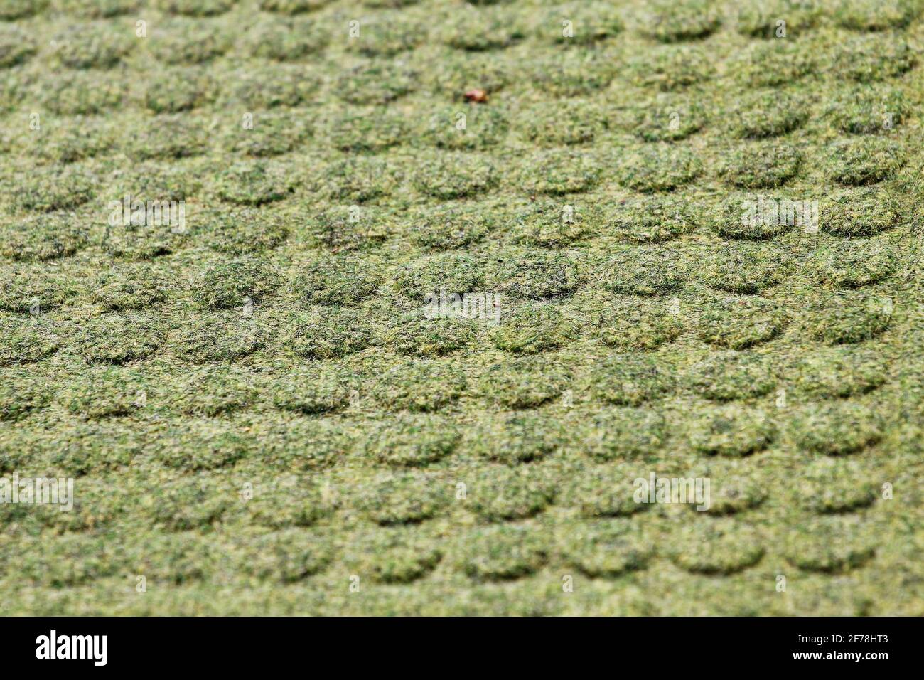 Green Floor Mat Stock Photo - Alamy