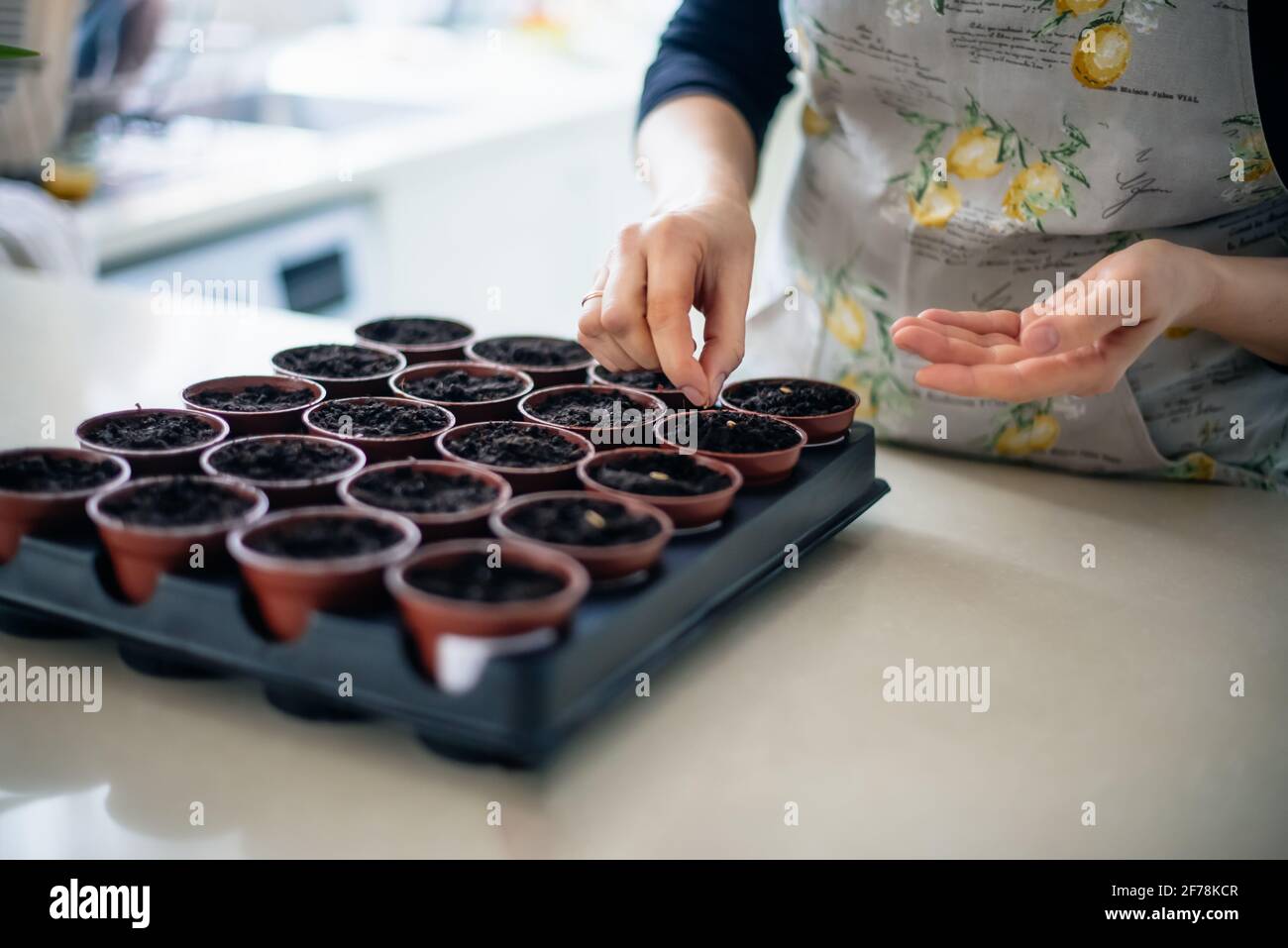 Sowing Seeds High Resolution Stock Photography and Images - Alamy