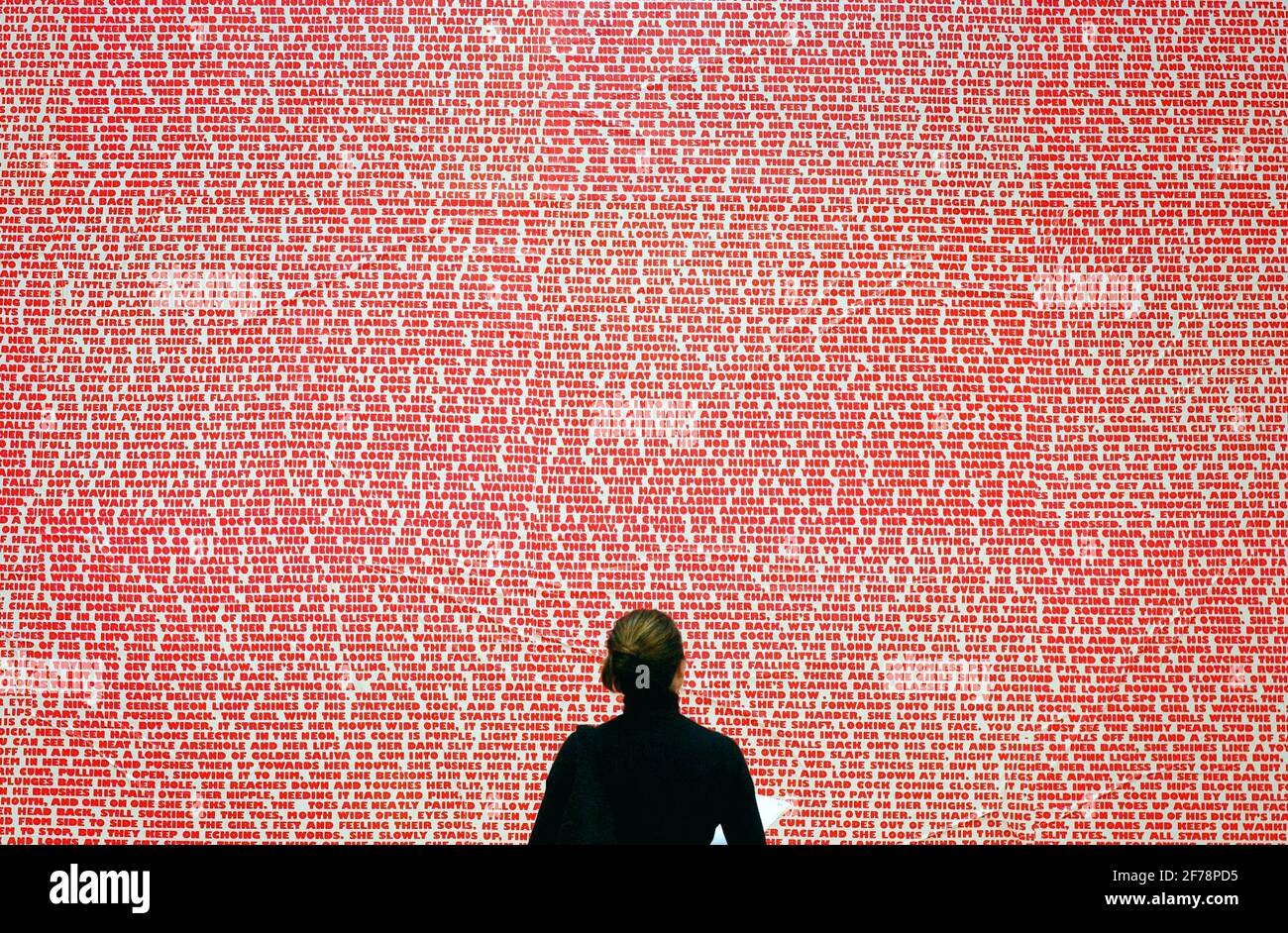 Fiona Banner's work entitled 'Arsewoman in Wonderland 2001' on show at ...