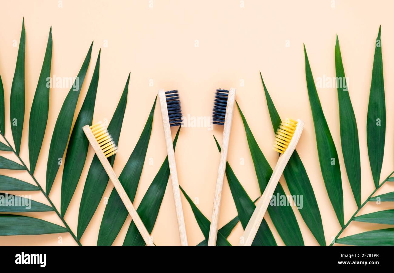 Eco-friendly bamboo toothbrushes and green palm leaves on pastel beige ...