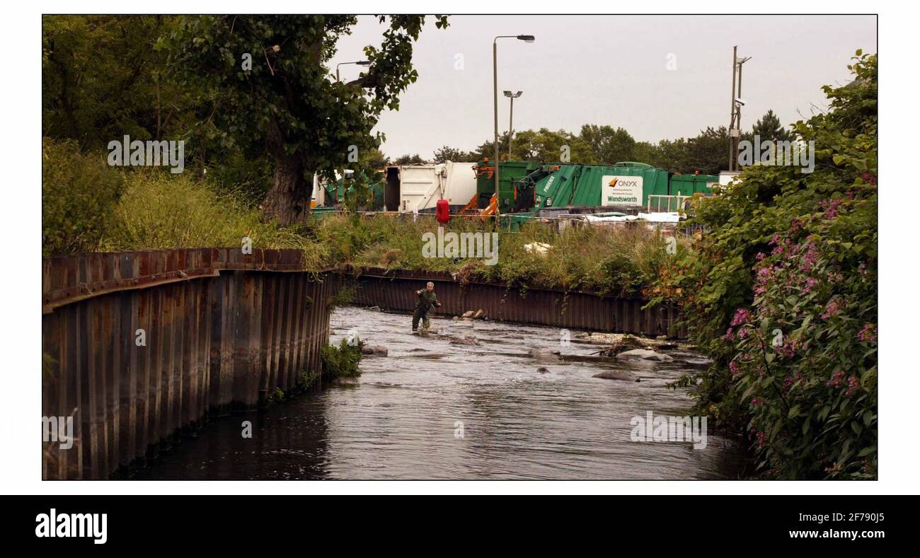 The river Wandle in south London, where a fisherman caught a trout ...