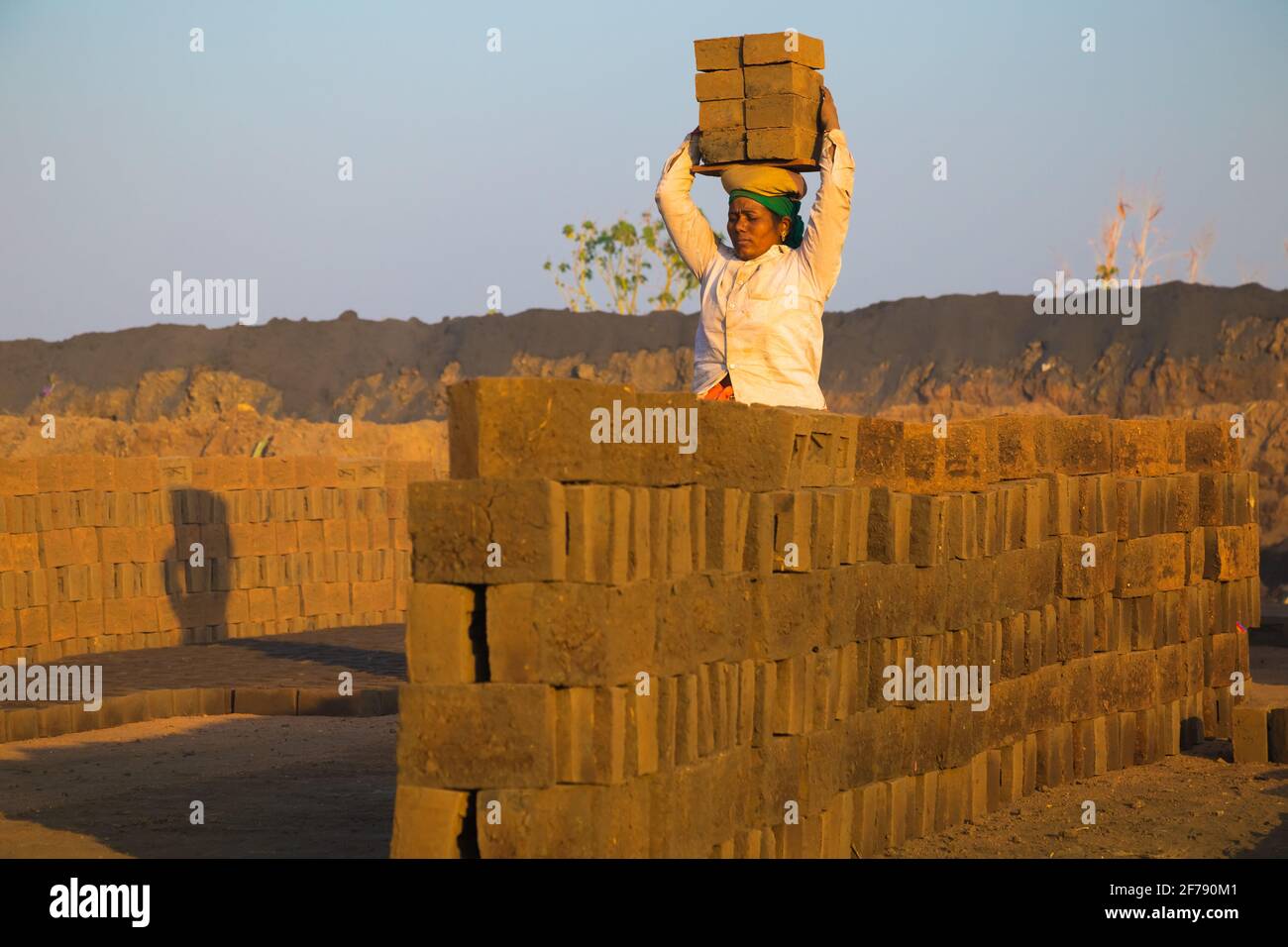 Construction worker carrying bricks hi-res stock photography and images ...