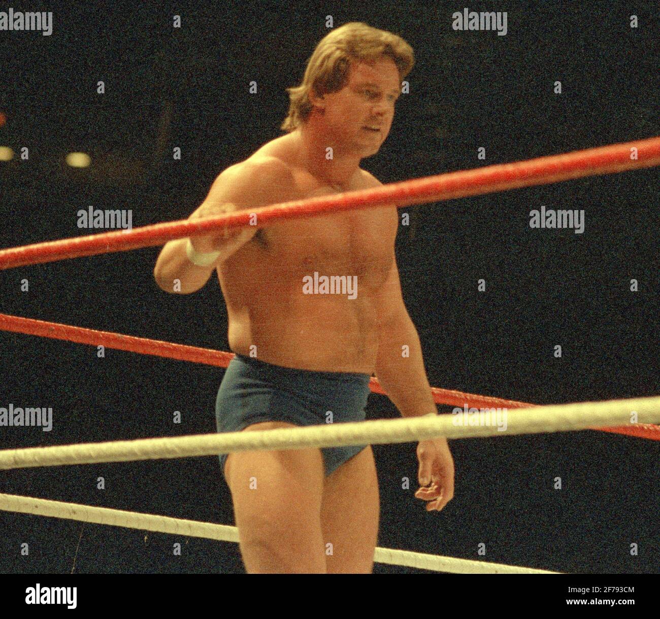 Roddy Piper 1996 Photo By John Barrett/PHOTOlink Stock Photo - Alamy
