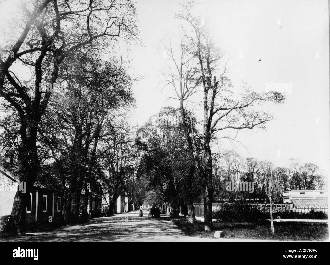 Street documentation Black and White Stock Photos & Images - Alamy