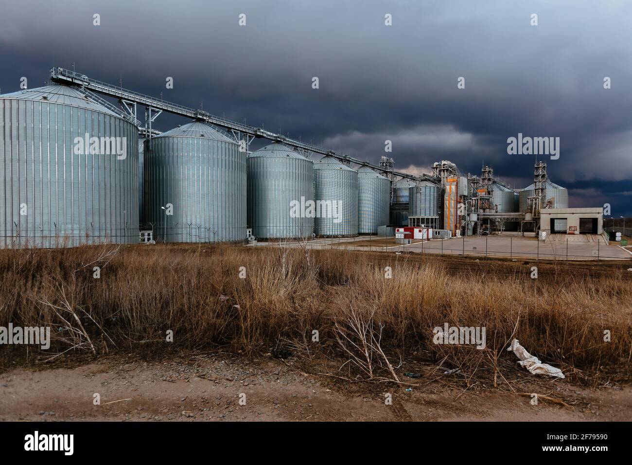 Metal grain elevator silos of compound food factory Stock Photo - Alamy
