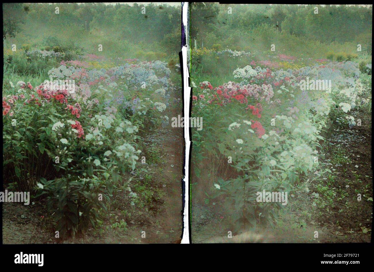 Autochromes hi-res stock photography and images - Alamy