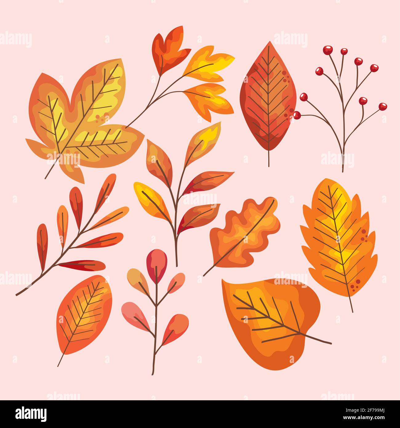 autumn leafs pattern Stock Vector Image & Art - Alamy
