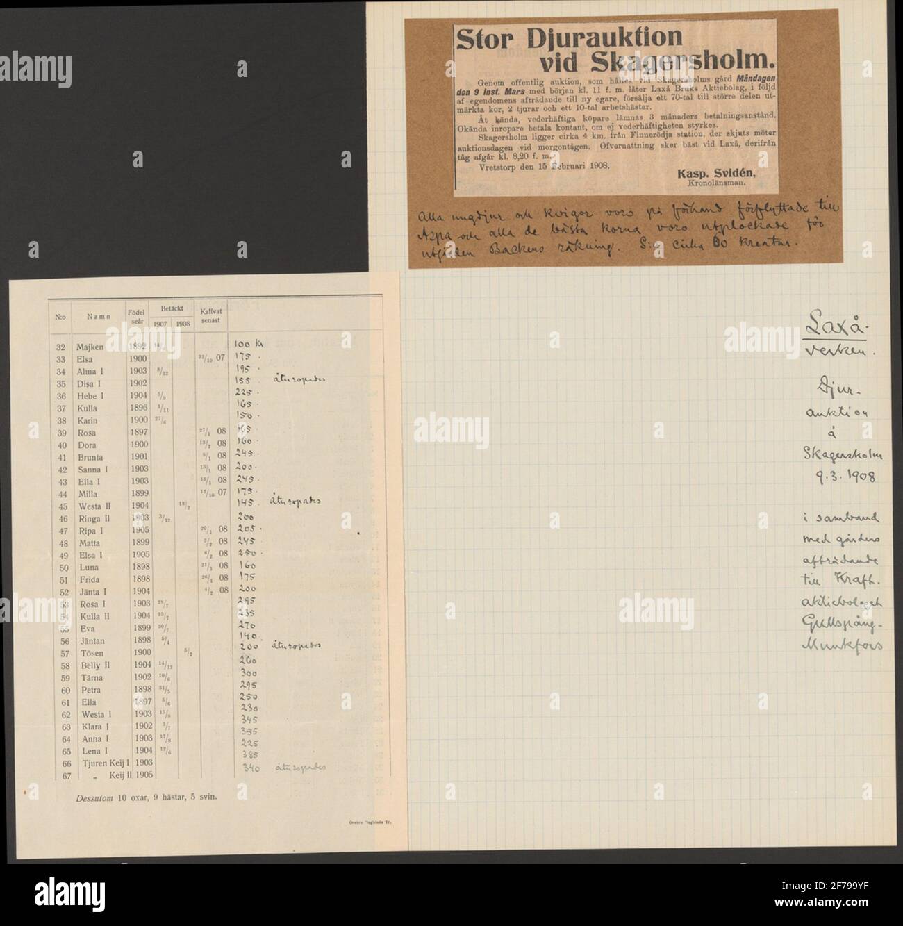 Salmon importance to environment hi-res stock photography and images ...