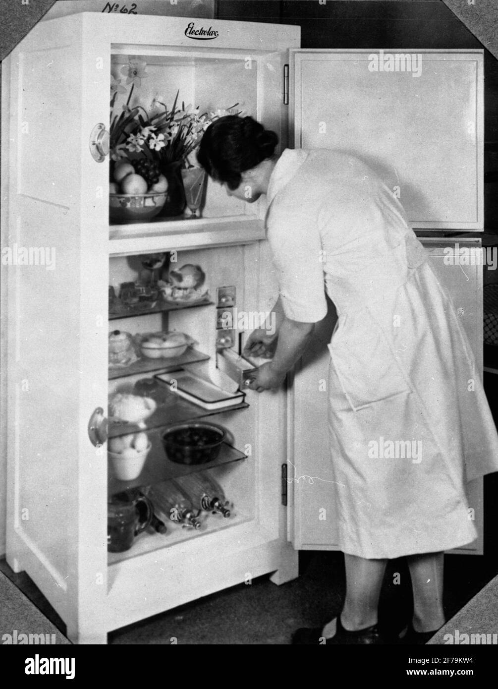 Female demonstrator of Electrolux refrigerator. Here, ice cubes are ...