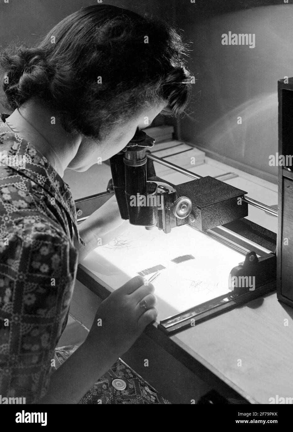 Electric machines. The image shows the sewing of bulb spirals of the ...