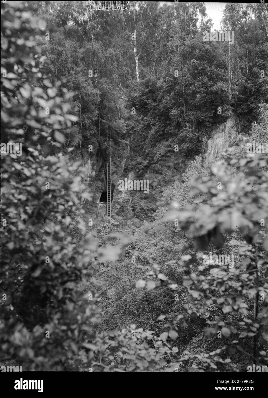 Iron mines. Old mining opening (shock) with Ortgima and ladders in the ...