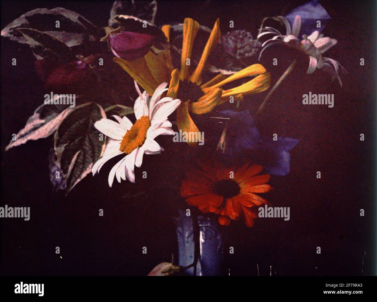 Lumières autochrome. Picture of flowers (Haga garden Stock Photo - Alamy