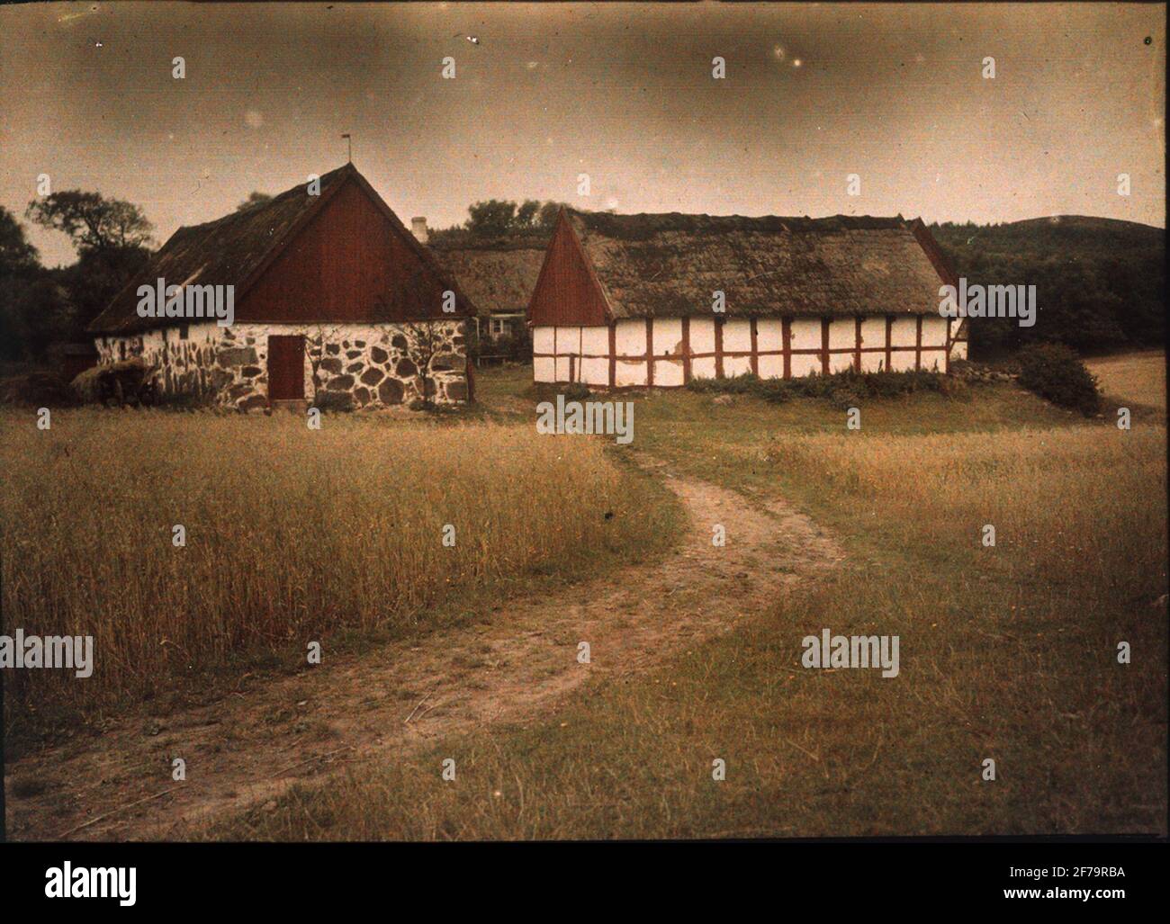 Lumières autochrome. Summer pleasure at arild mode. House with thatched ...