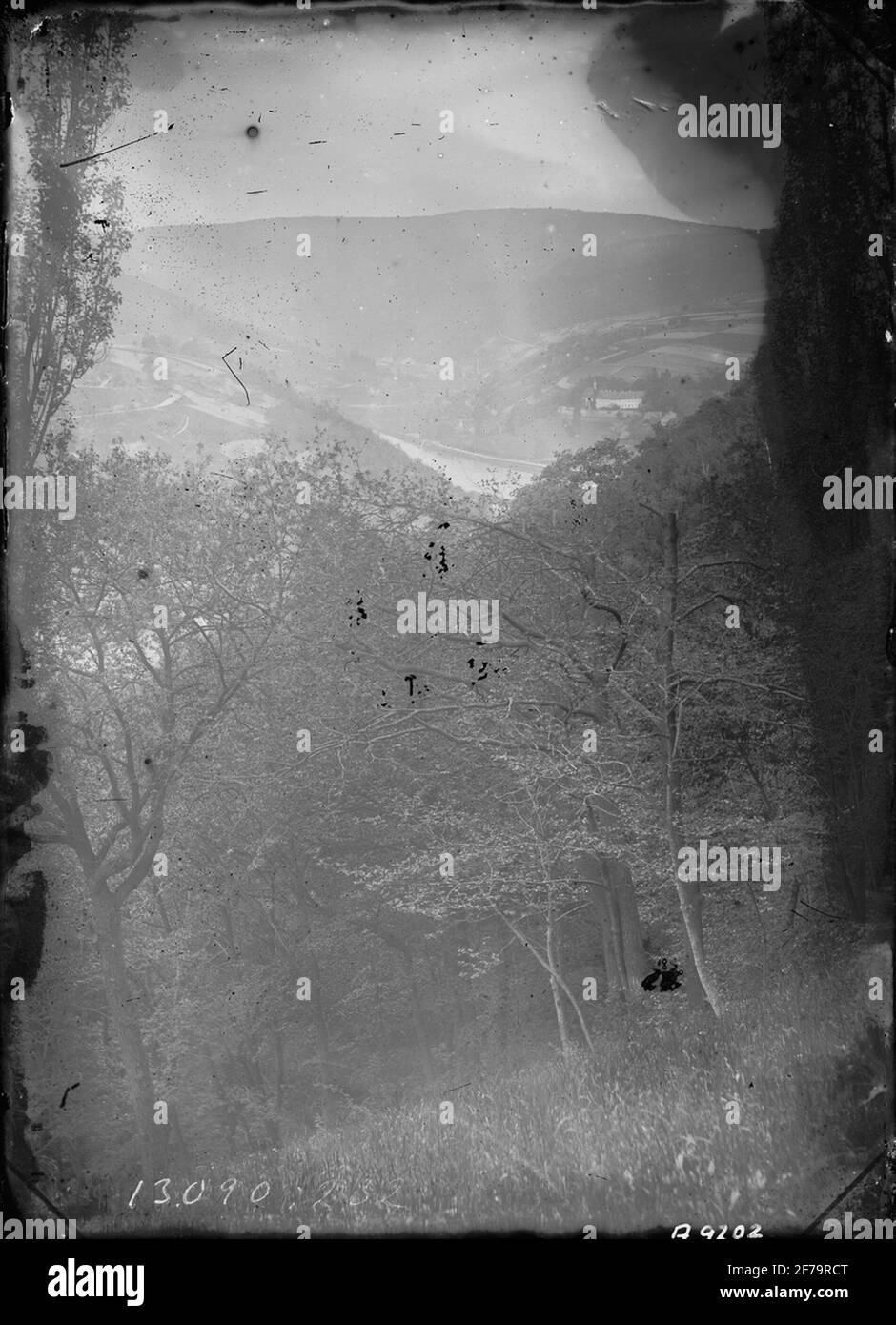 Layout options Black and White Stock Photos & Images - Alamy