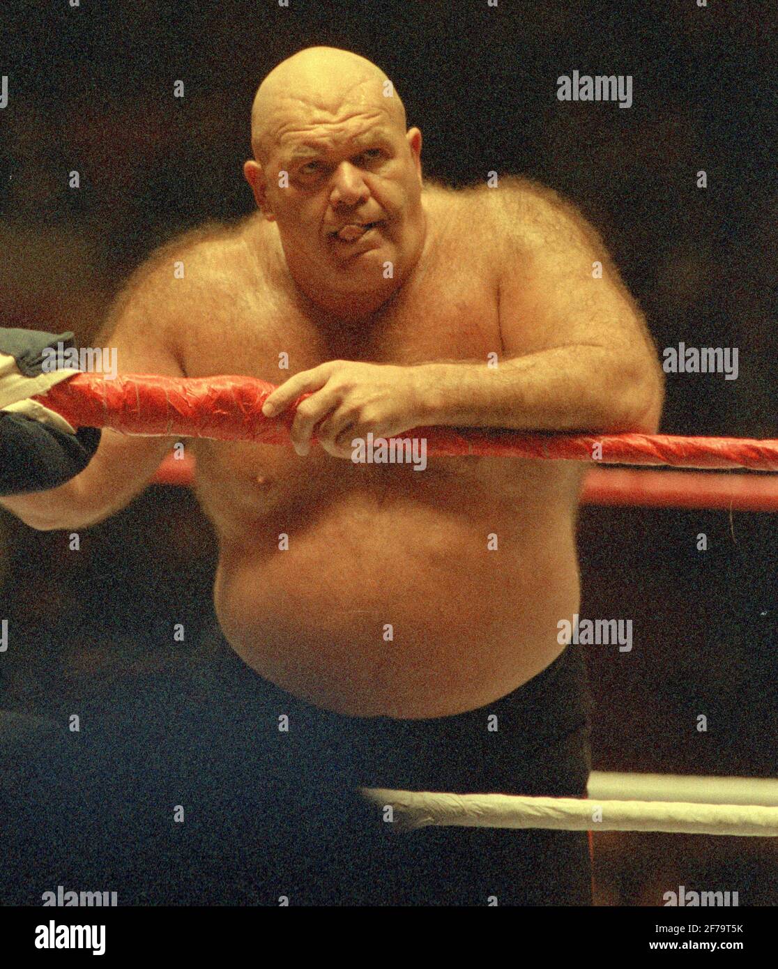 George El Animal Steele Come Tensor