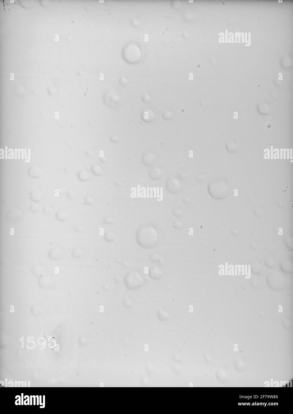 Cellular magnification Black and White Stock Photos & Images - Alamy