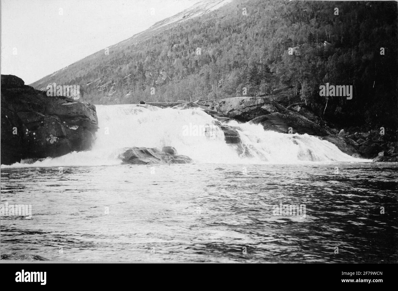 Sjangeli copper grapes in Lapland. The upper case at Games Stock Photo ...