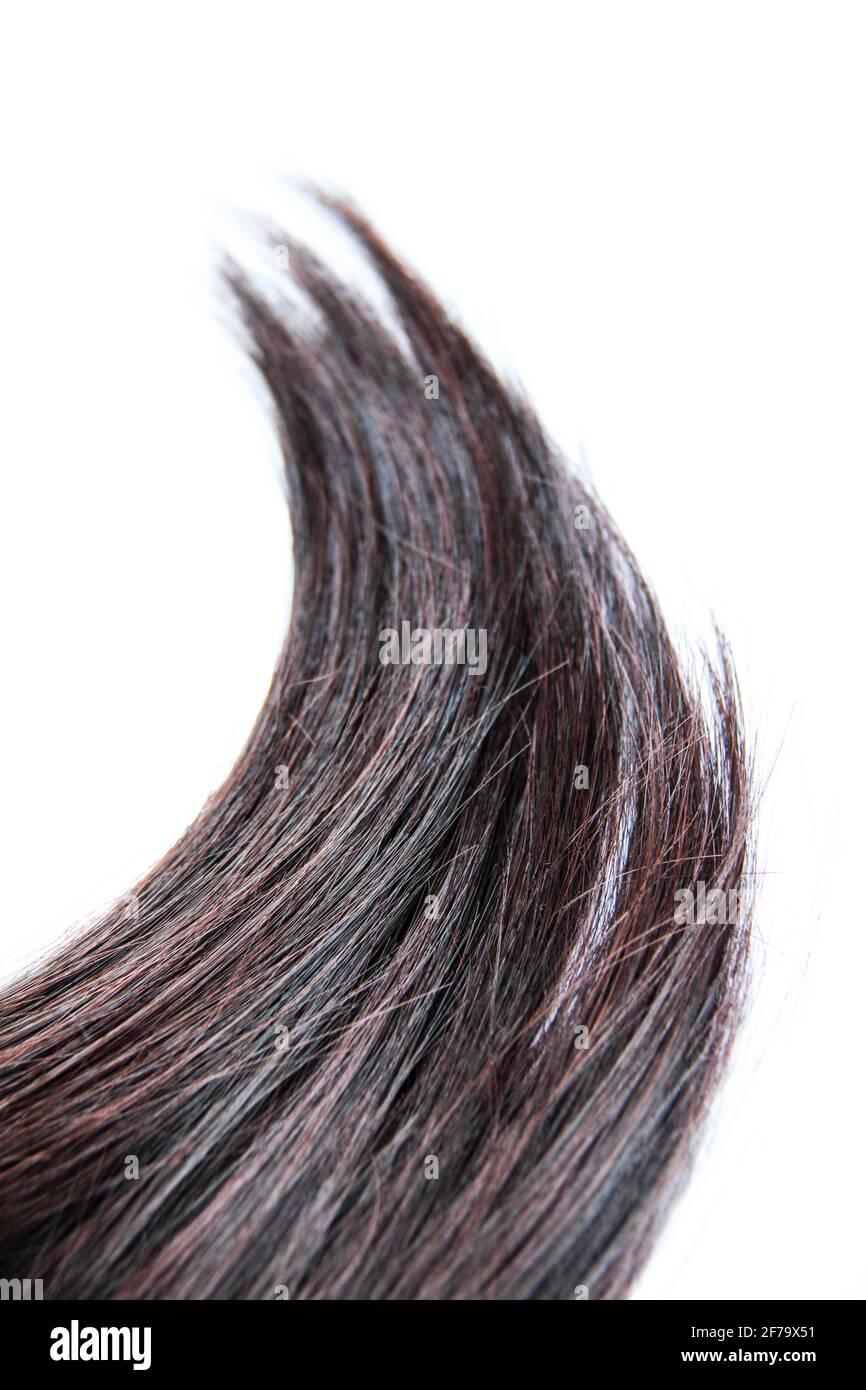 Black hair isolated on white background. Brunette natural hair ...