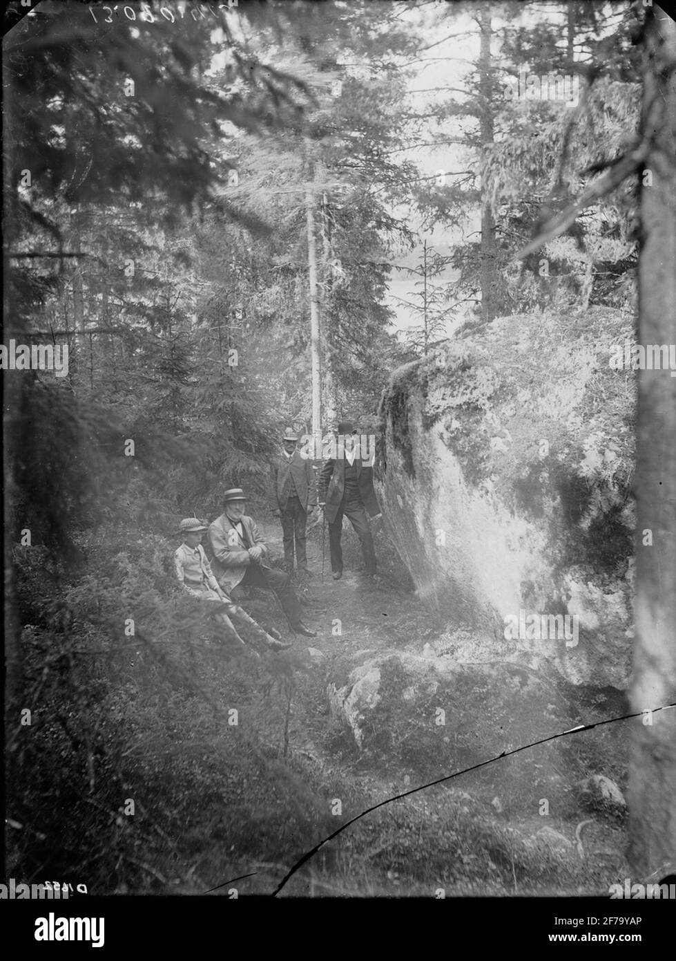 Boy in a forest Black and White Stock Photos & Images - Alamy